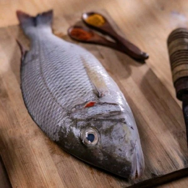 Emperor fish / Vela meen / வெல மீன் / விளை மீன் 500gm