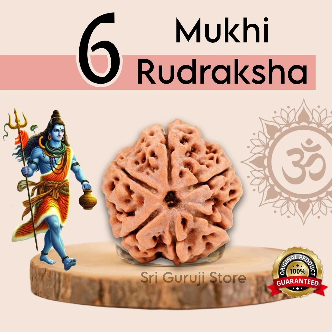 6 Mukhi Rudraksha