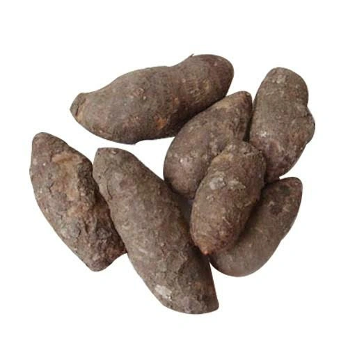 கருணை கிழங்கு / Karunai Kilangu