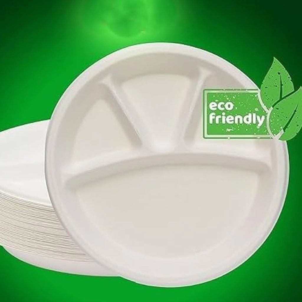 Disposable Eco- Friendly Dinner Plate For Party , Lunch (1 Dozan )