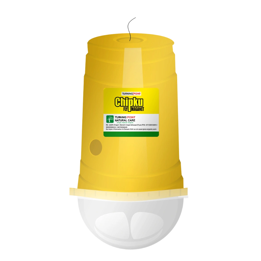 Trap : Glass Trap (50 Pcs)