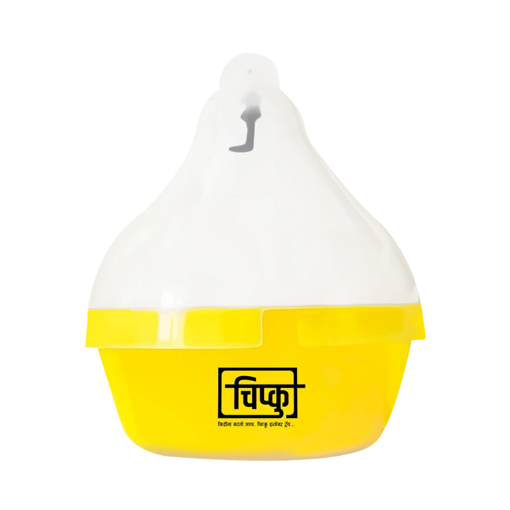 Trap : Maxplus Trap (20 Pcs)