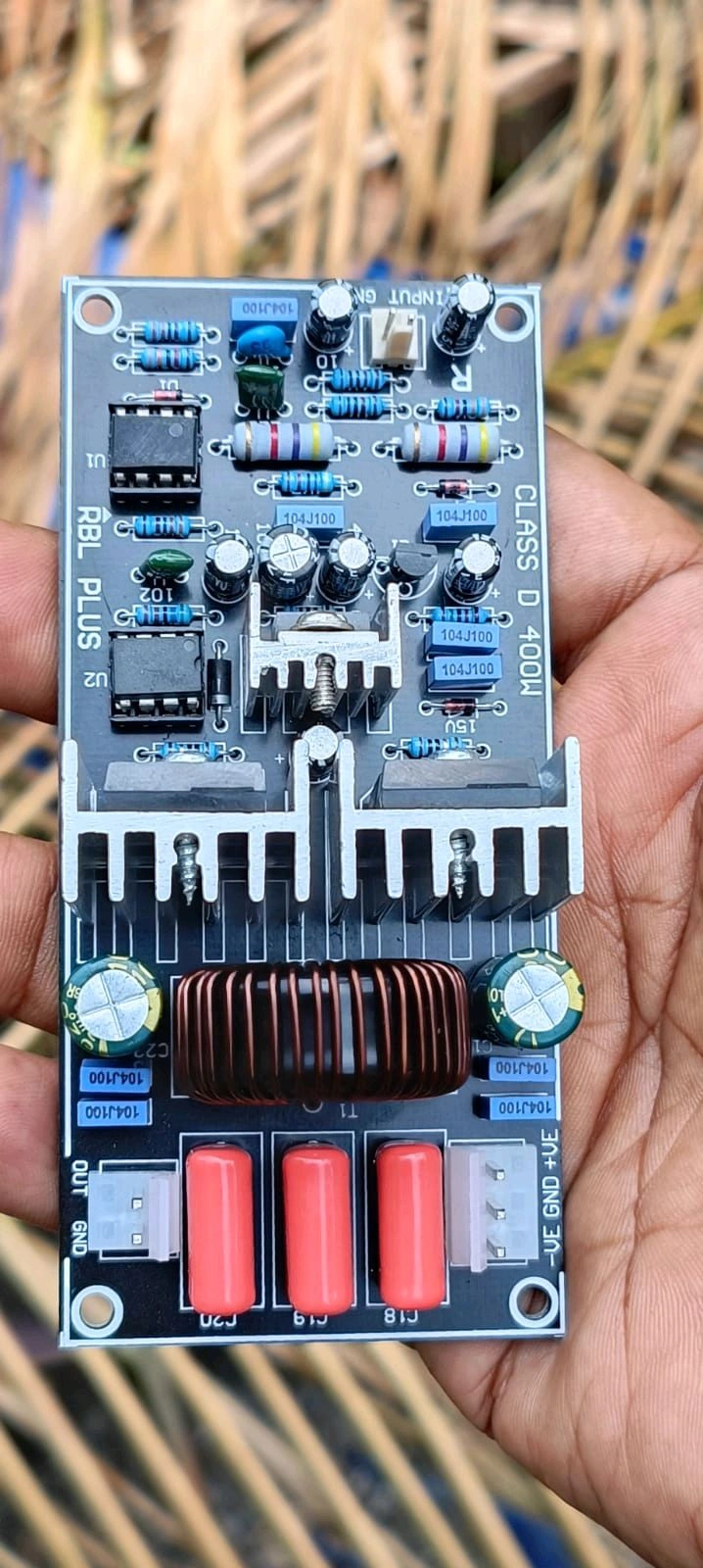 Class D Rbl Plus Audio Board