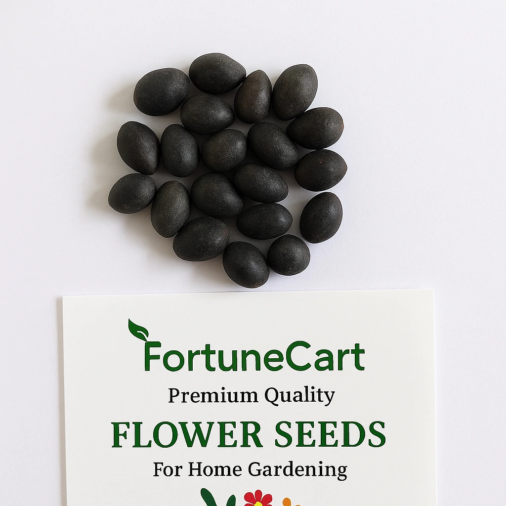 Premium Lotus Flower Seeds - 50pcs