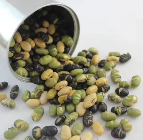 ROASTED & SALTED BEANS