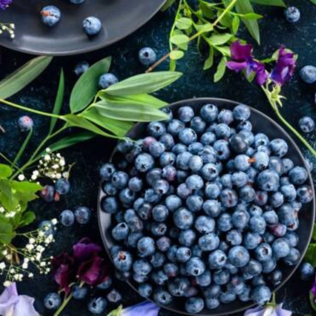 Blueberry Frozen 450gm