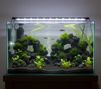 Black Lava Rock for Aquarium Aquascaping & Filter Media | Volcanic Lava ...