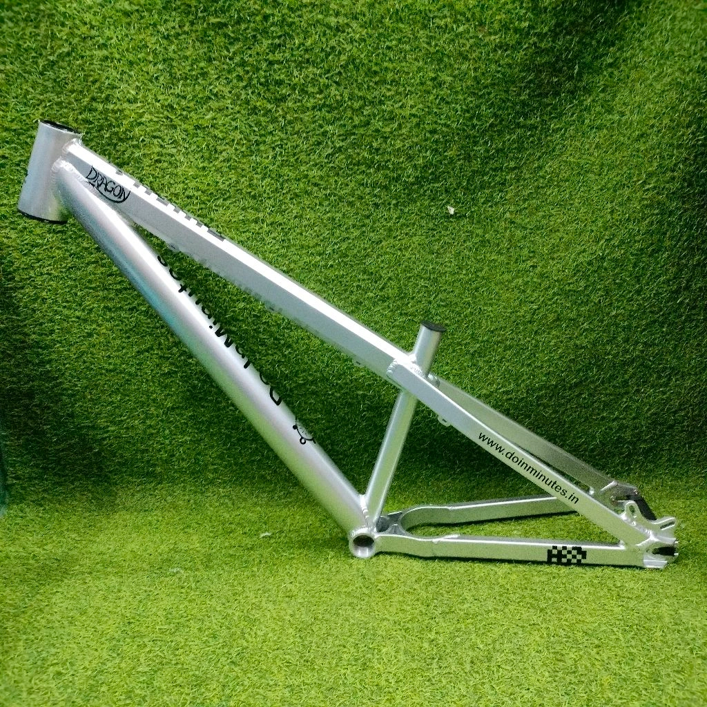 Custom Build MTB Stunt Bike Frame.
